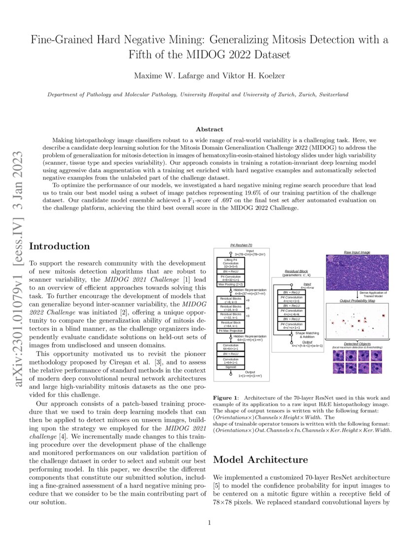 Fine Grained Hard Negative Mining Generalizing Mitosis Detection With