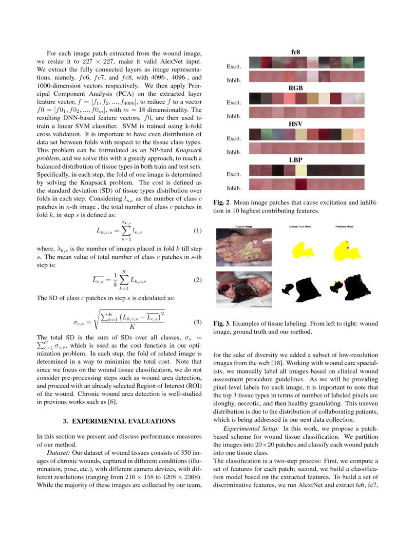 Fine-grained wound tissue analysis using deep neural network | DeepAI
