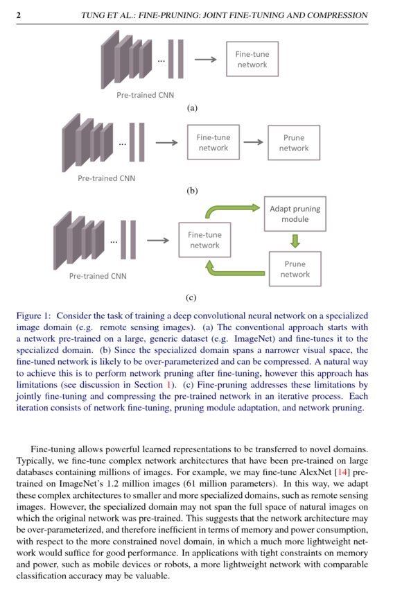 Fine-Pruning: Joint Fine-Tuning and Compression of a Convolutional Network with Bayesian ...