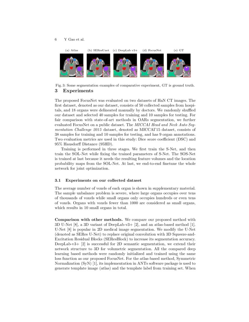 FocusNet: Imbalanced Large and Small Organ Segmentation with an End-to-End Deep Neural Network ...