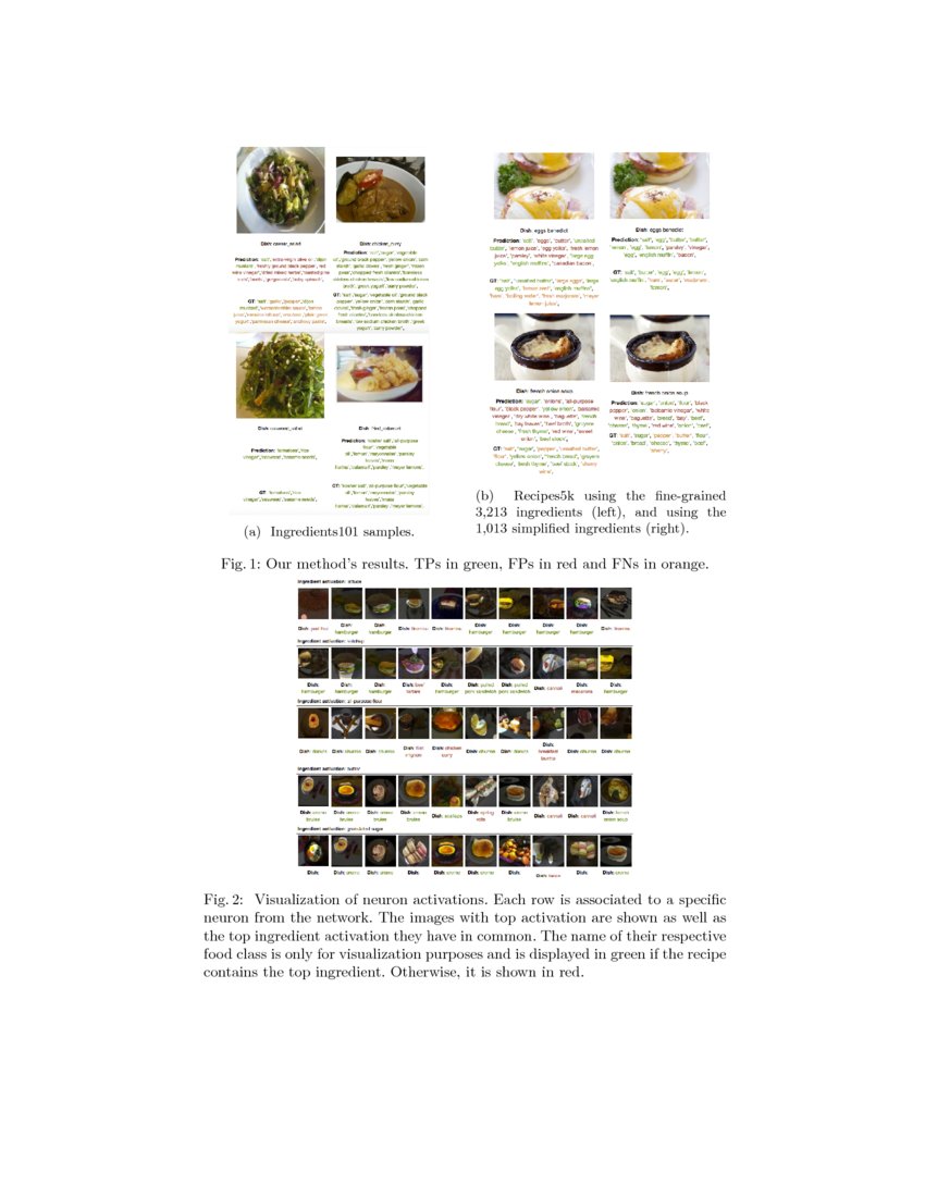 Food Ingredients Recognition through Multi-label Learning | DeepAI
