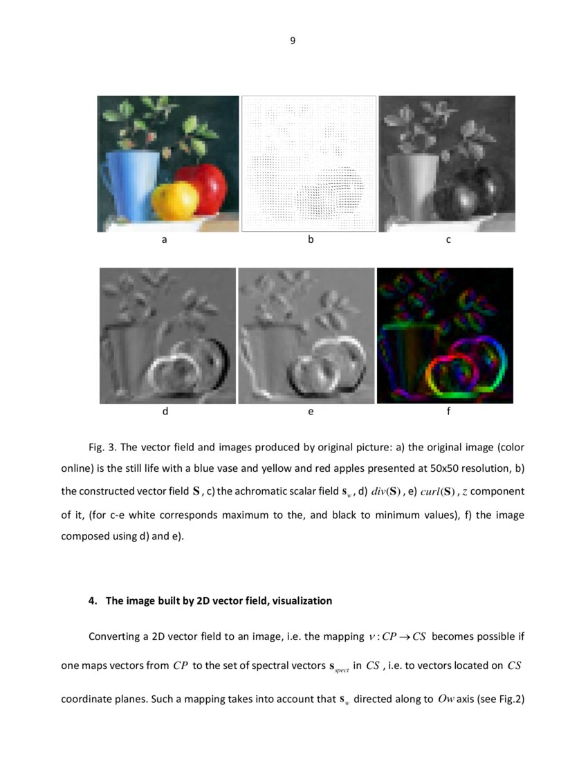 Forward and backward mapping of image to 2D vector field using fiber ...