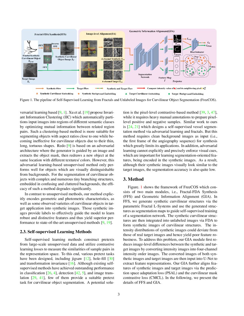 FreeCOS: Self-Supervised Learning from Fractals and Unlabeled Images for Curvilinear Object ...