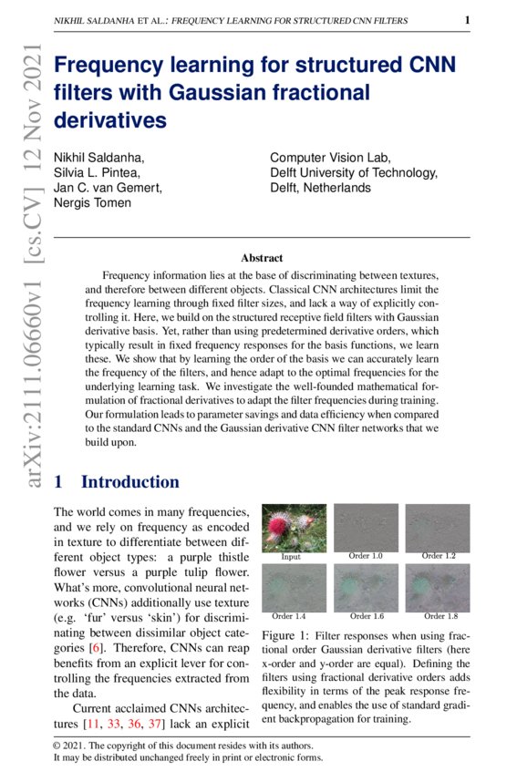 Frequency learning for structured CNN filters with Gaussian fractional ...