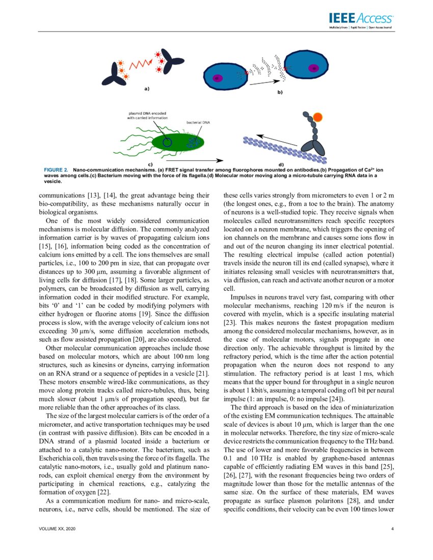 From Nano-Communications to Body Area Networks: A Perspective on Truly ...