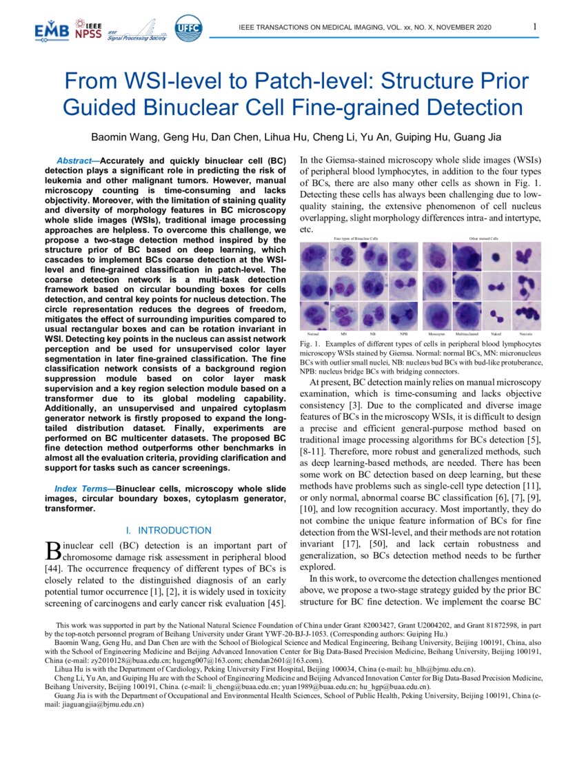 From Wsi Level To Patch Level Structure Prior Guided Binuclear Cell