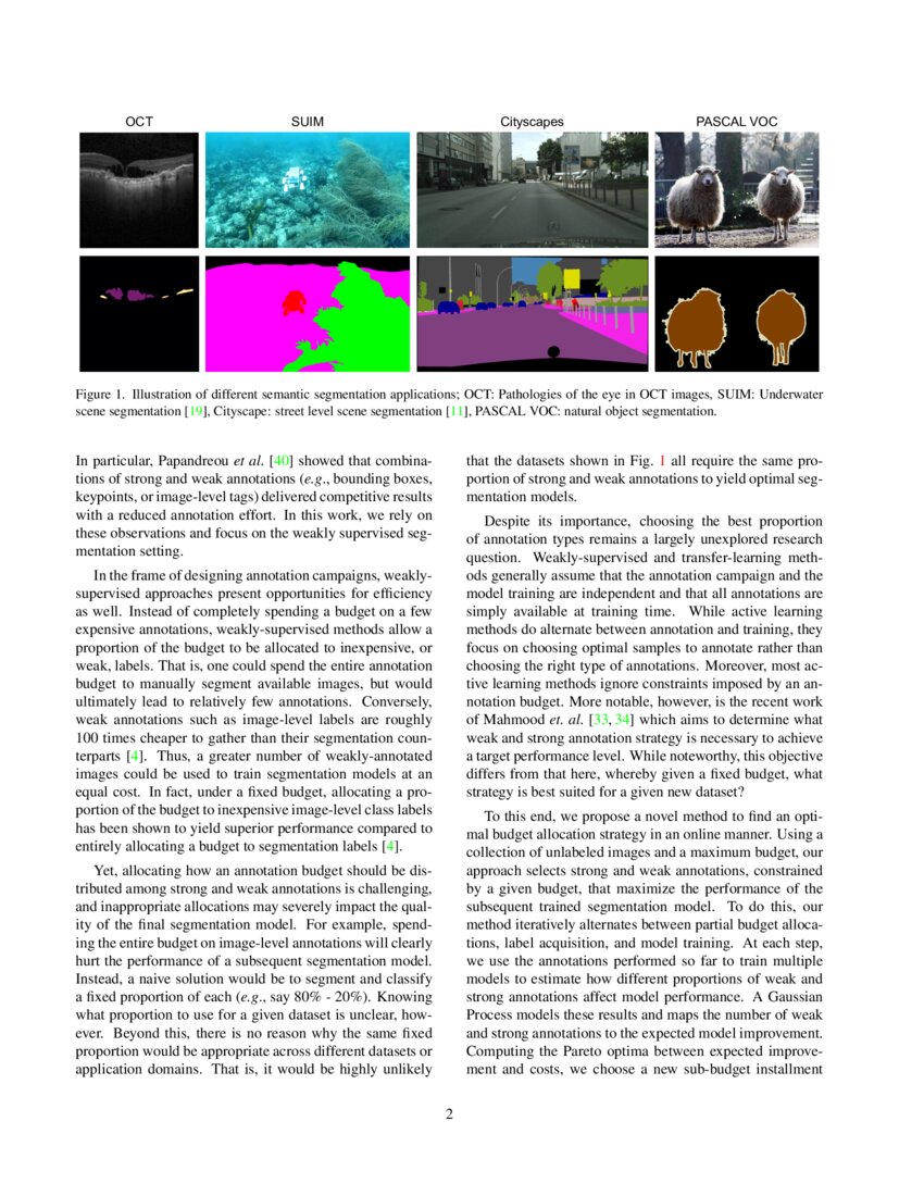 Full or Weak annotations? An adaptive strategy for budget-constrained annotation campaigns | DeepAI