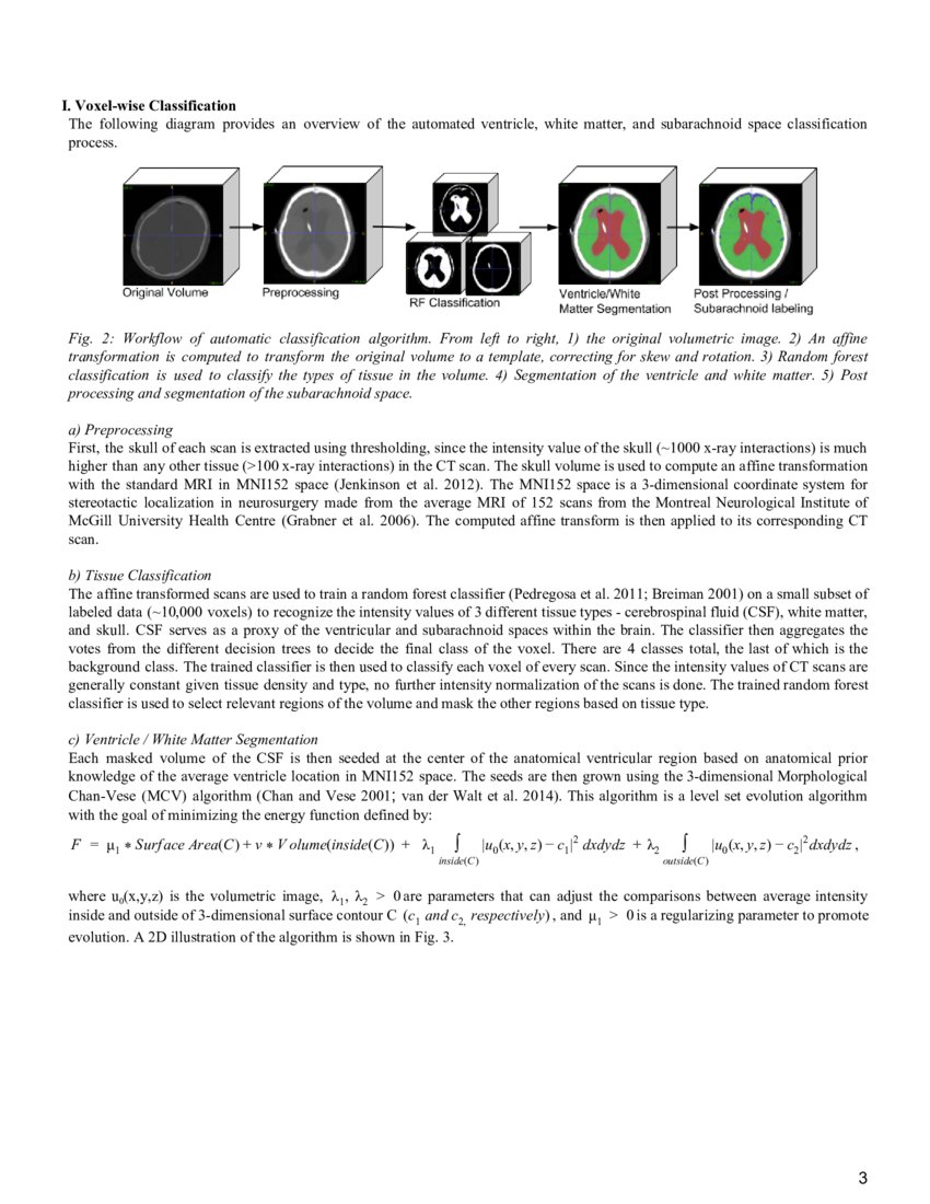 Fully Automated Volumetric Classification in CT Scans for Diagnosis and ...