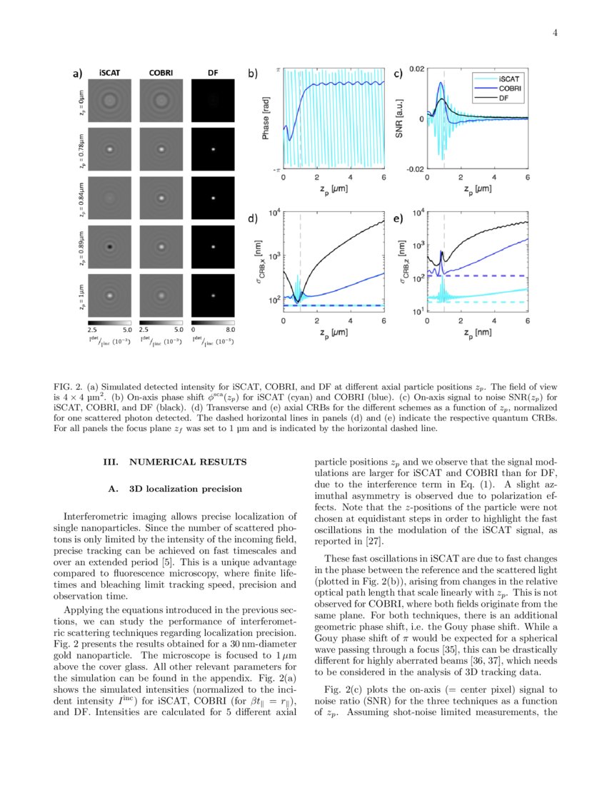 Fundamental bounds on the precision of iSCAT, COBRI and dark-field ...