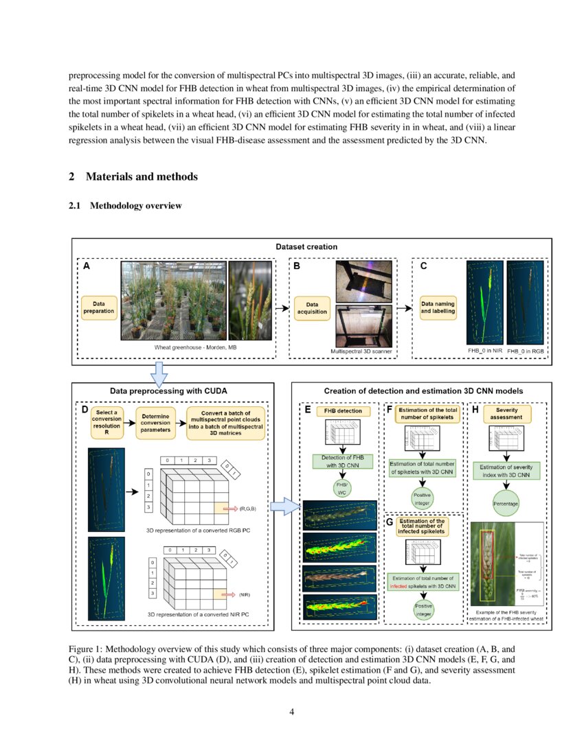 Fusarium head blight detection, spikelet estimation, and severity assessment in wheat using 3D ...