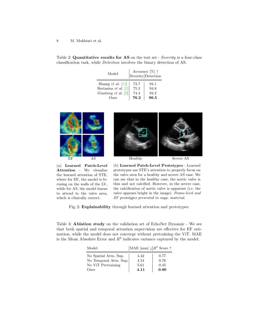 Gemtrans A General Echocardiography Based Multi Level Transformer Framework For