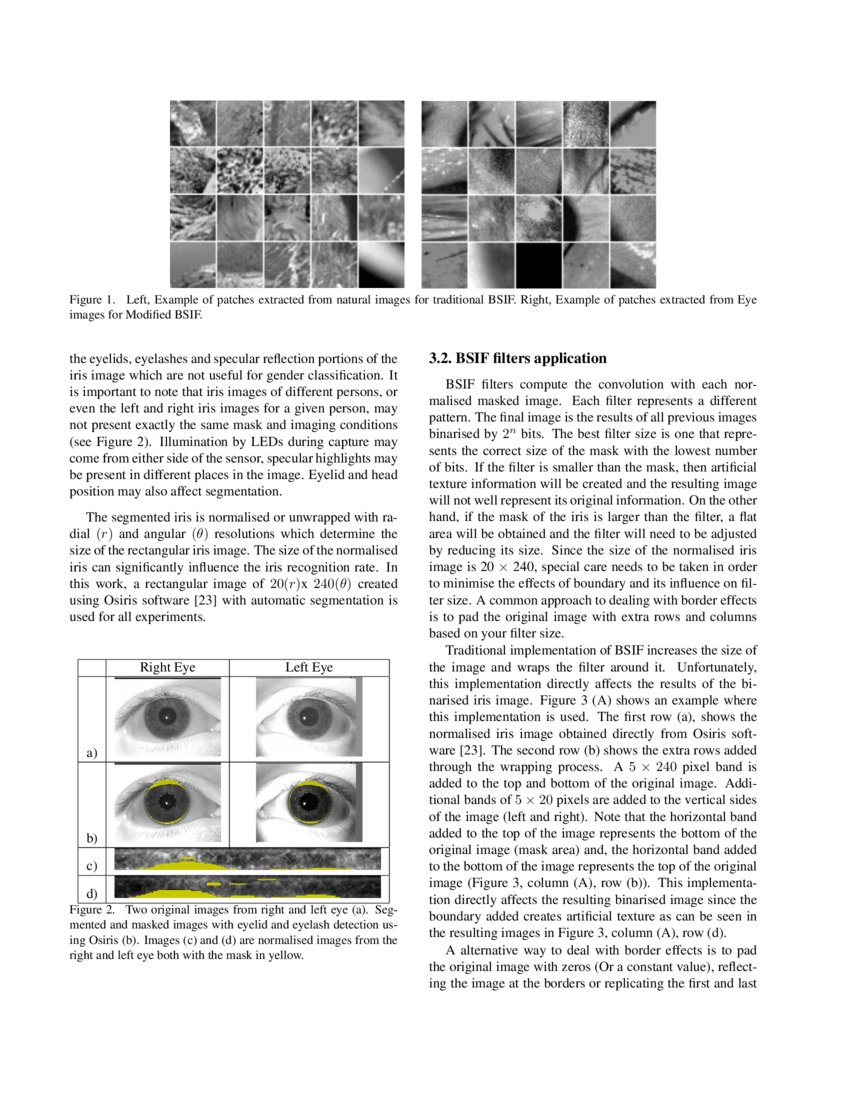 Gender Classification From Iris Texture Images Using A New Set Of Binary Statistical Image