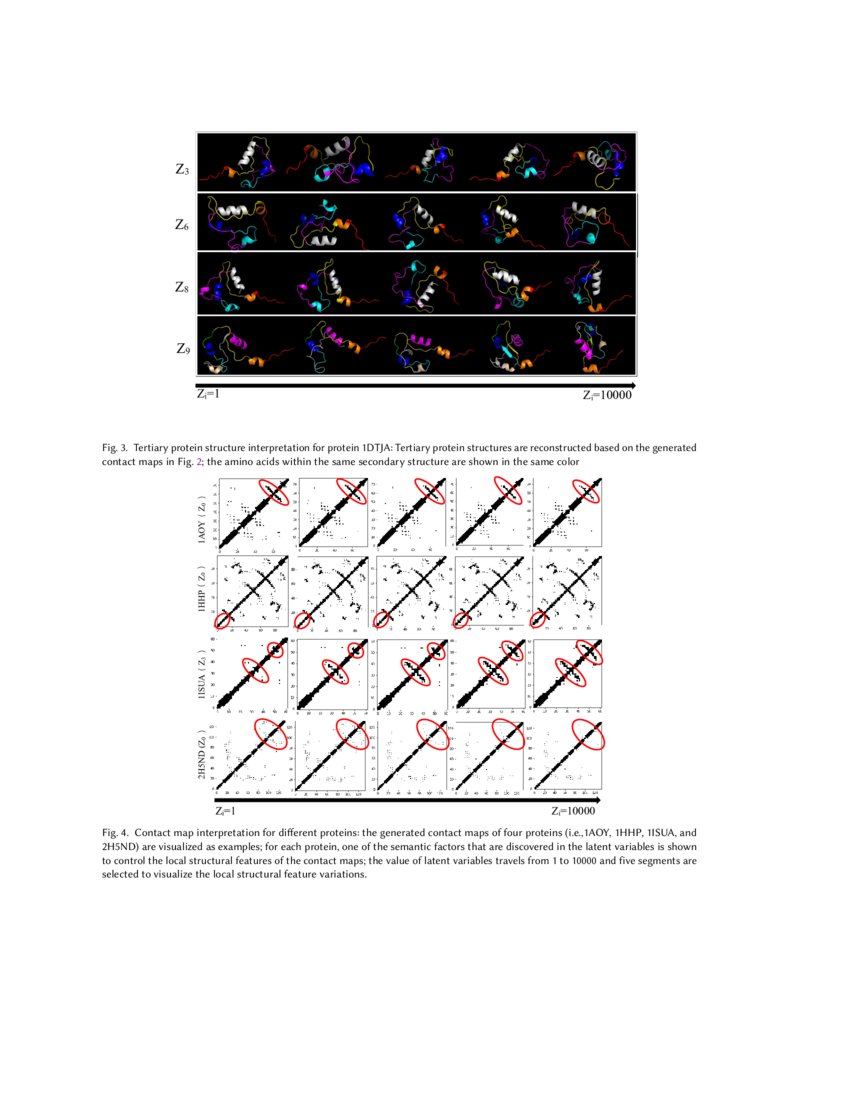 Generating Tertiary Protein Structures via an Interpretative Variational Autoencoder | DeepAI
