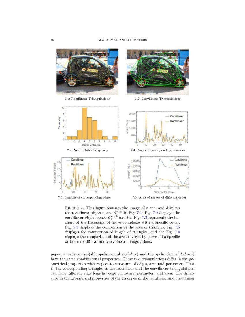 Geodesics Of Triangulated Image Object Shapes Approximating Image