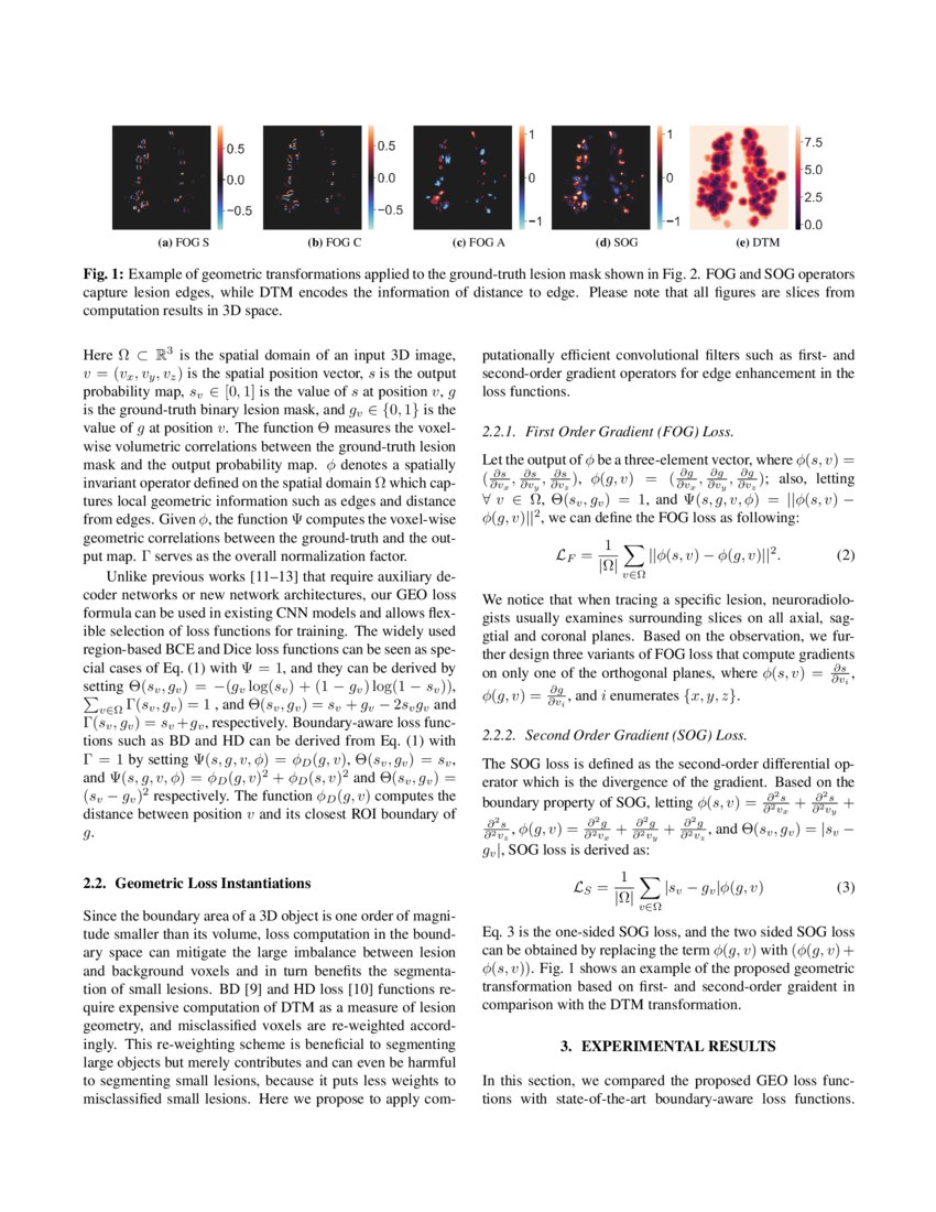 Geometric Loss for Deep Multiple Sclerosis lesion Segmentation | DeepAI