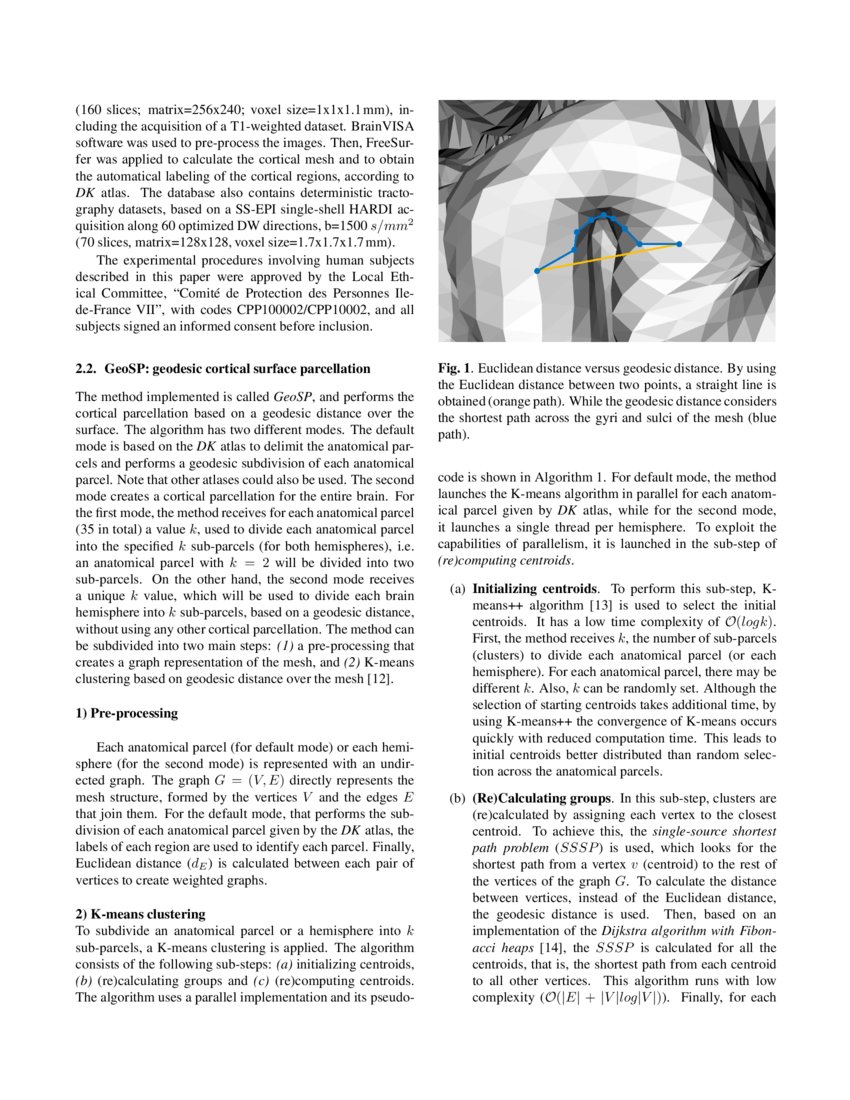 GeoSP: A parallel method for a cortical surface parcellation based on geodesic distance | DeepAI