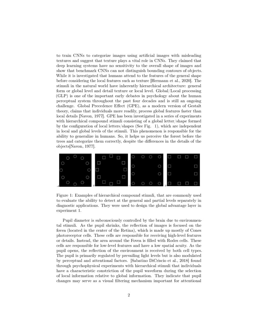 Global Local Processing In Convolutional Neural Networks Deepai