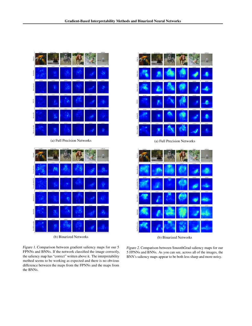 Gradient-Based Interpretability Methods and Binarized Neural Networks | DeepAI