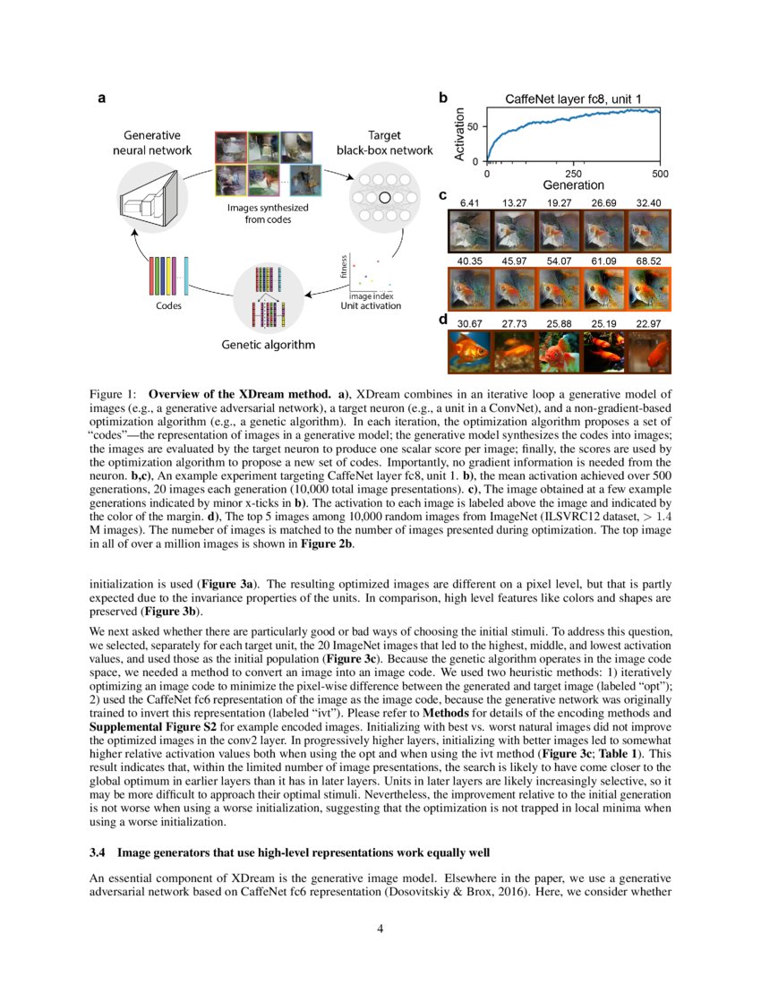 Gradient Free Activation Maximization For Identifying Effective Stimuli