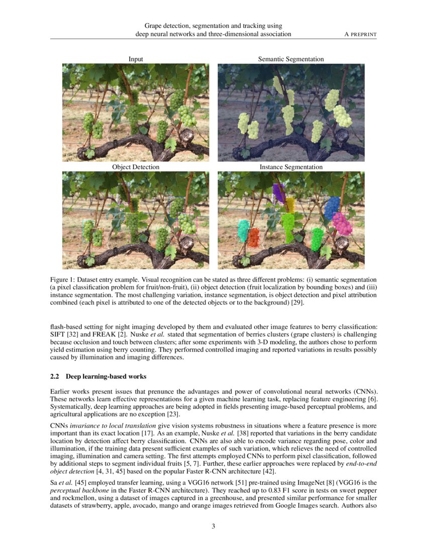 Grape detection, segmentation and tracking using deep neural networks and three-dimensional ...