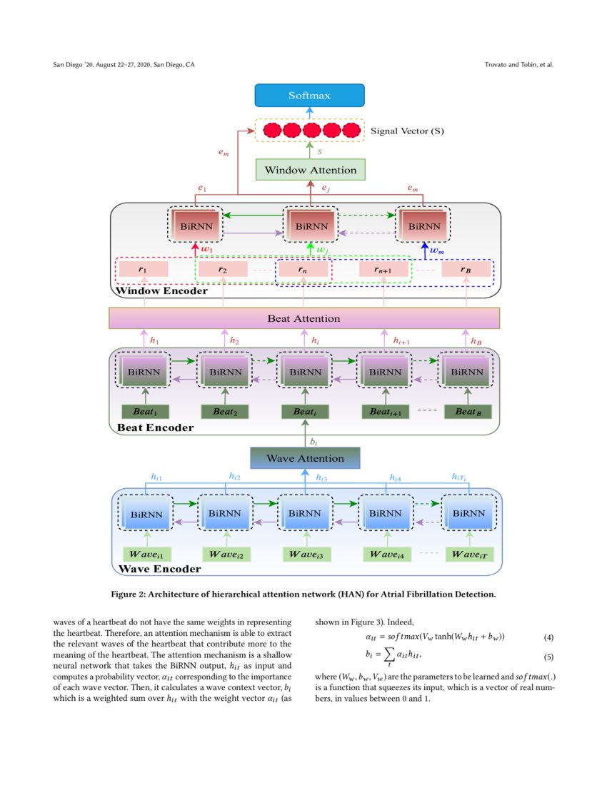 Han Ecg An Interpretable Atrial Fibrillation Detection Model Using Hierarchical Attention