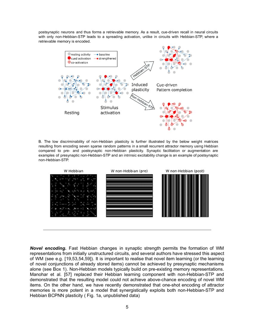 Hebbian fast plasticity and working memory | DeepAI