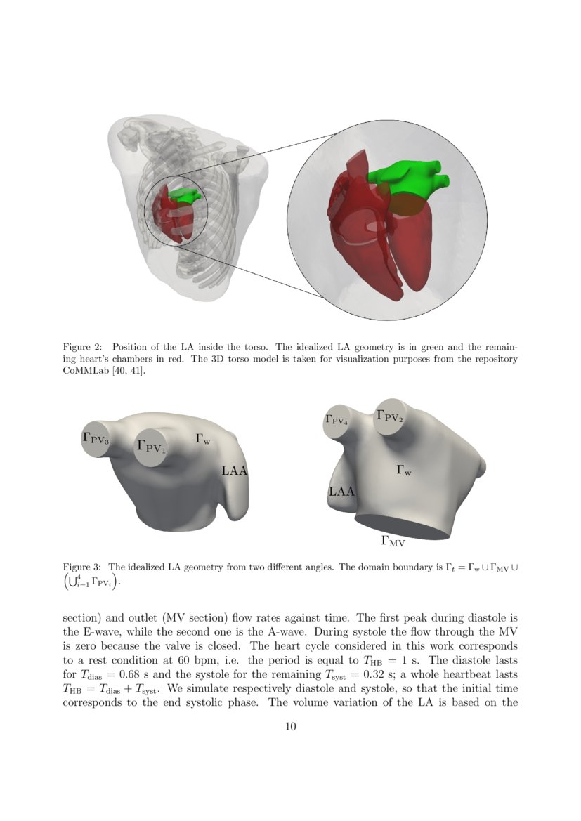 Hemodynamics of the heart's left atrium based on a Variational ...