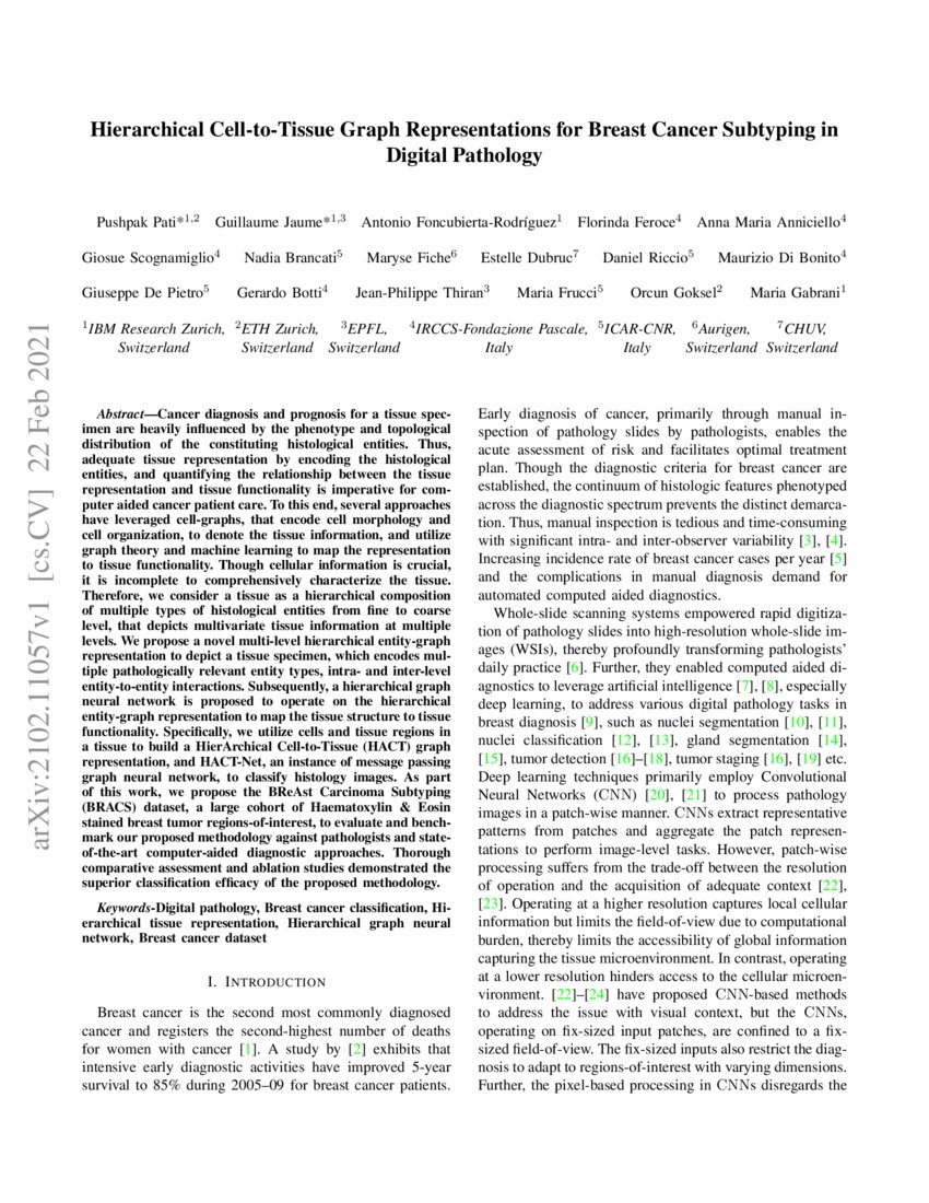 Hierarchical Cell-to-Tissue Graph Representations for Breast Cancer ...