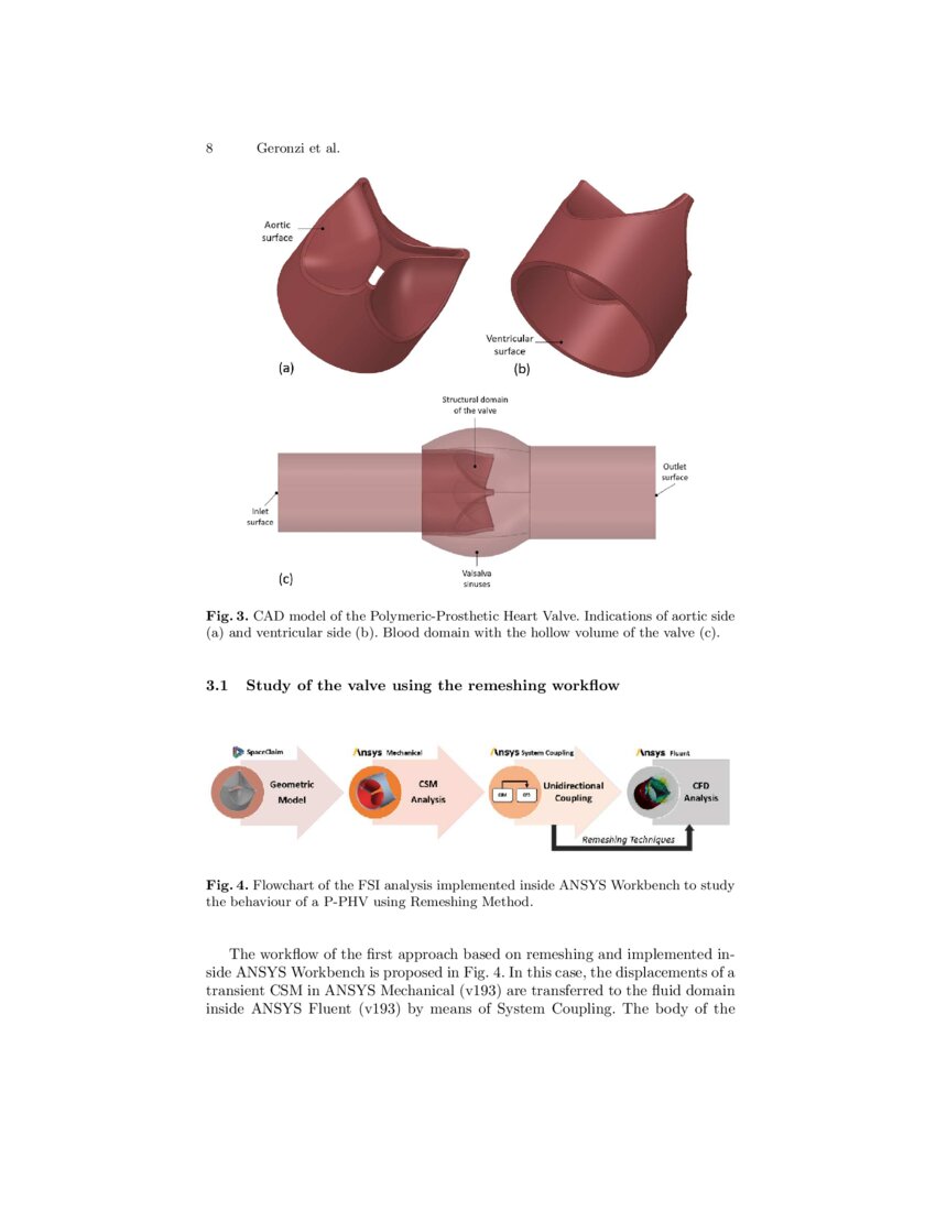 High Fidelity Fluid Structure Interaction By Radial Basis Functions Mesh Adaption Of Moving
