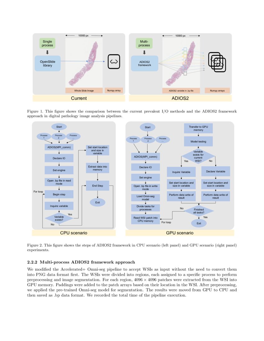 High-performance Data Management for Whole Slide Image Analysis in Digital Pathology | DeepAI