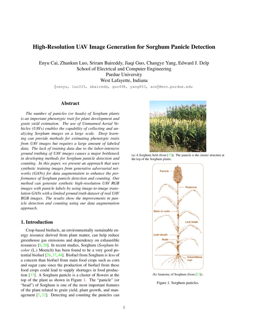 High Resolution Uav Image Generation For Sorghum Panicle Detection Deepai