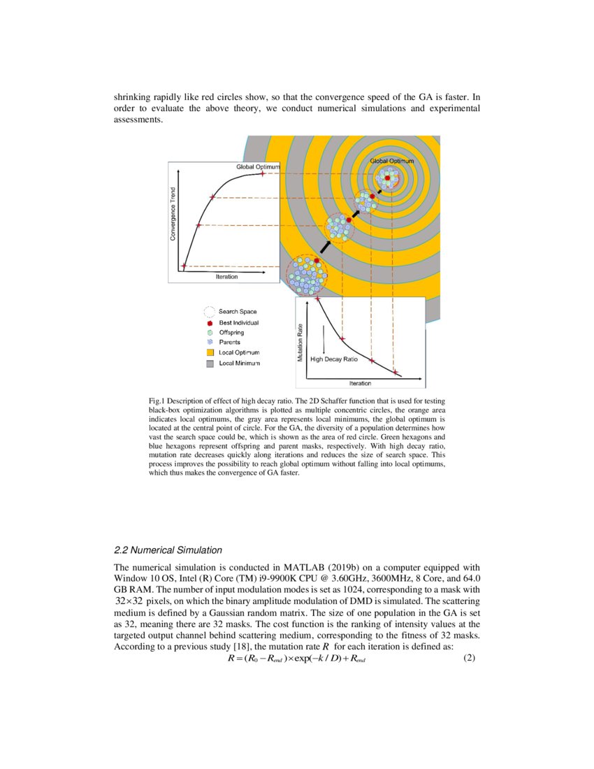 High-Speed Light Focusing through Scattering Medium by Cooperatively Accelerated Genetic ...