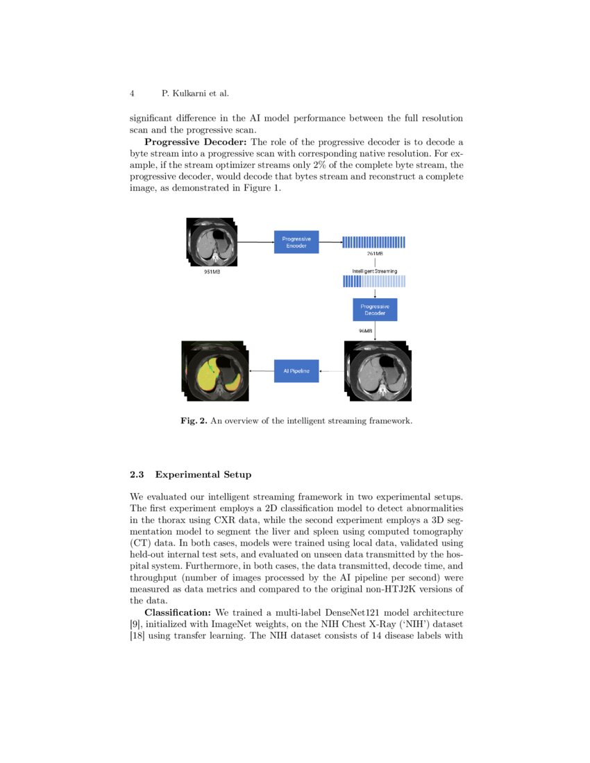High-Throughput AI Inference for Medical Image Classification and Segmentation using Intelligent ...