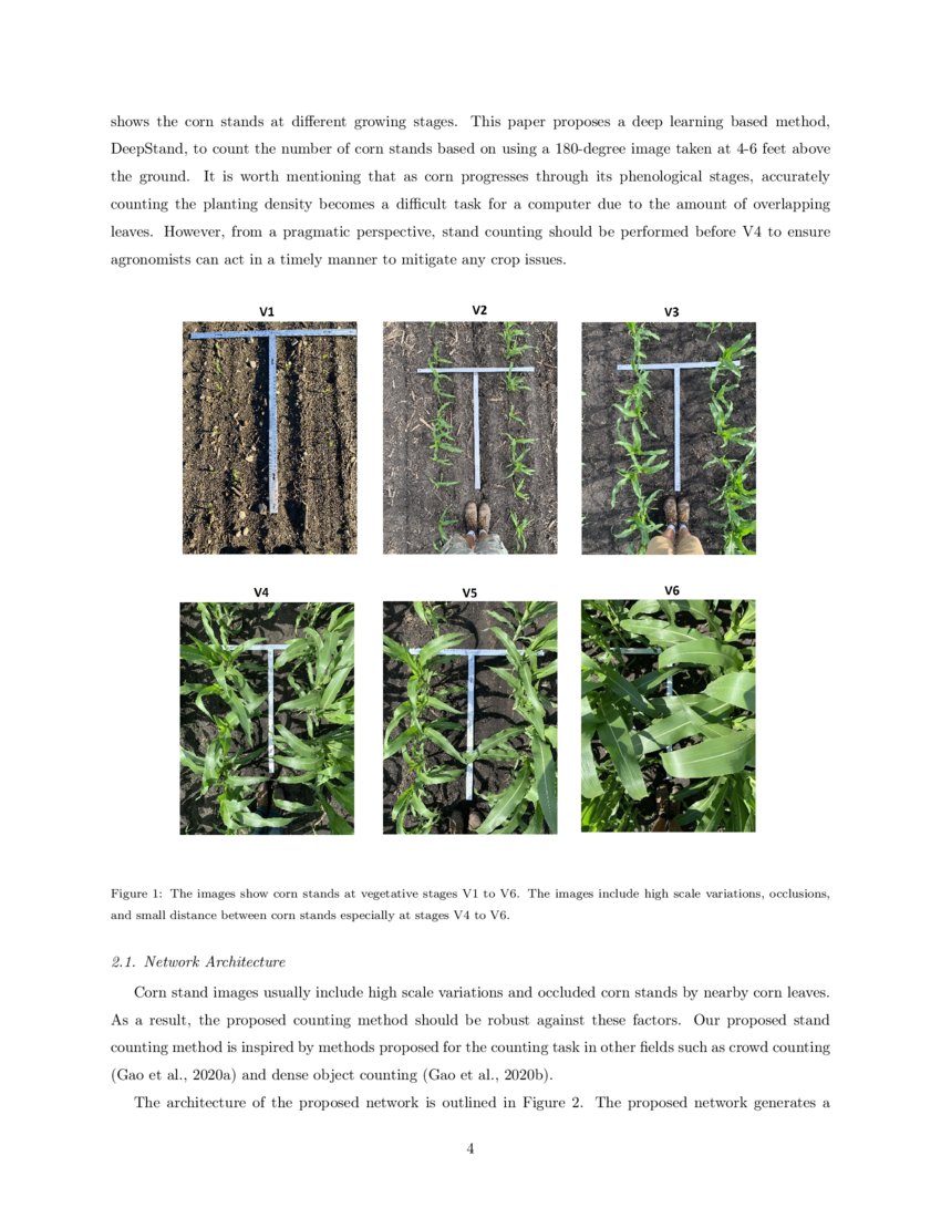 High Throughput Image Based Plant Stand Count Estimation Using Convolutional Neural Networks