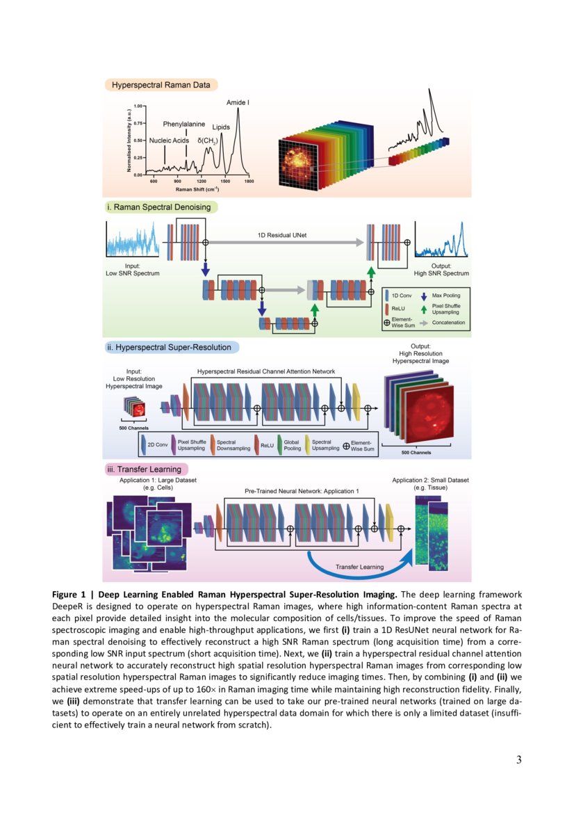 High Throughput Molecular Imaging Via Deep Learning Enabled Raman