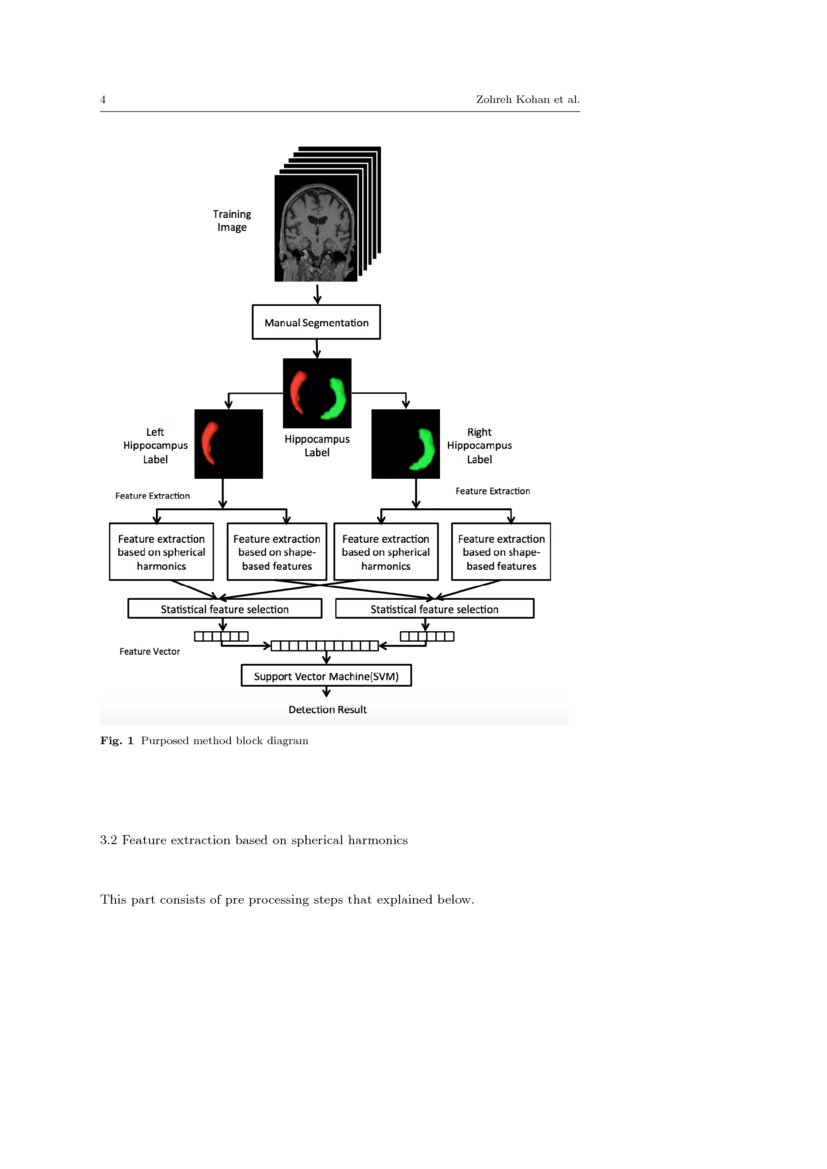 Hippocampus Temporal Lobe Epilepsy Detection using a Combination of ...
