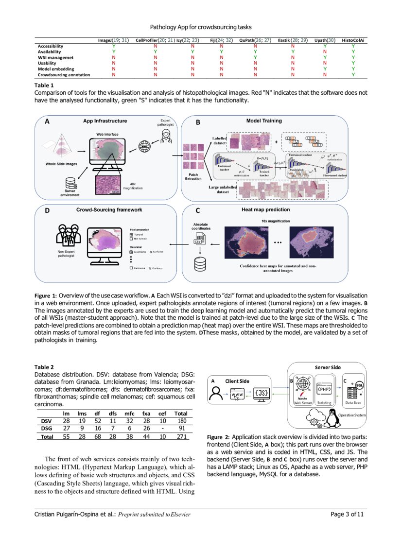 HistoColAi: An Open-Source Web Platform for Collaborative Digital ...