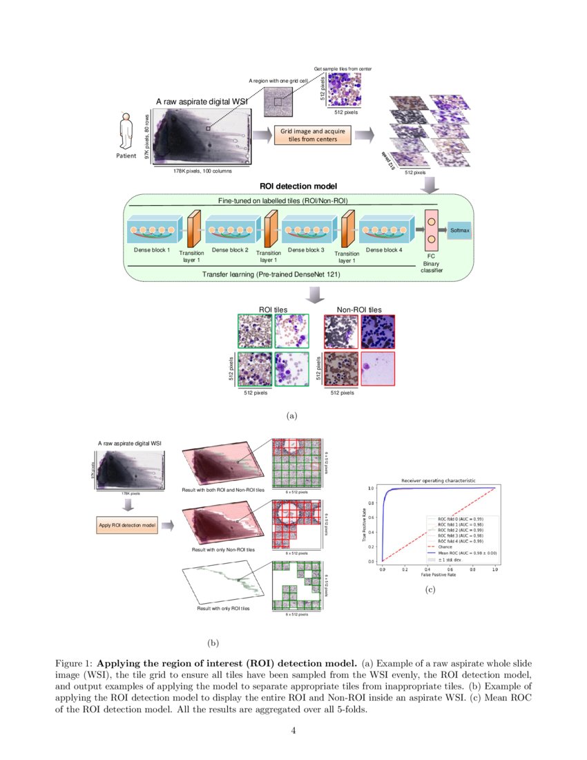 Histogram of Cell Types: Deep Learning for Automated Bone Marrow Cytology | DeepAI