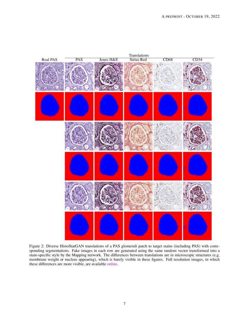 HistoStarGAN: A Unified Approach to Stain Normalisation, Stain Transfer and Stain Invariant ...