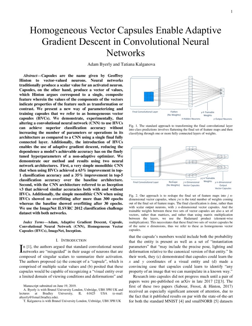 Homogeneous Vector Capsules Enable Adaptive Gradient Descent in Convolutional Neural Networks ...
