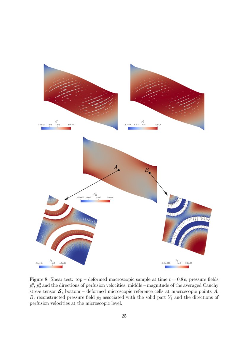 Homogenization of large deforming fluid-saturated porous structures ...