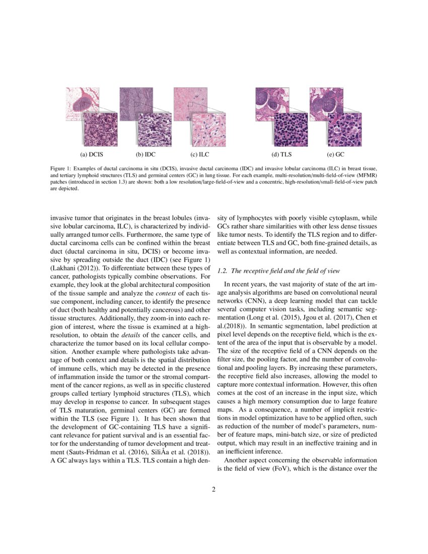 HookNet: multi-resolution convolutional neural networks for semantic segmentation in ...