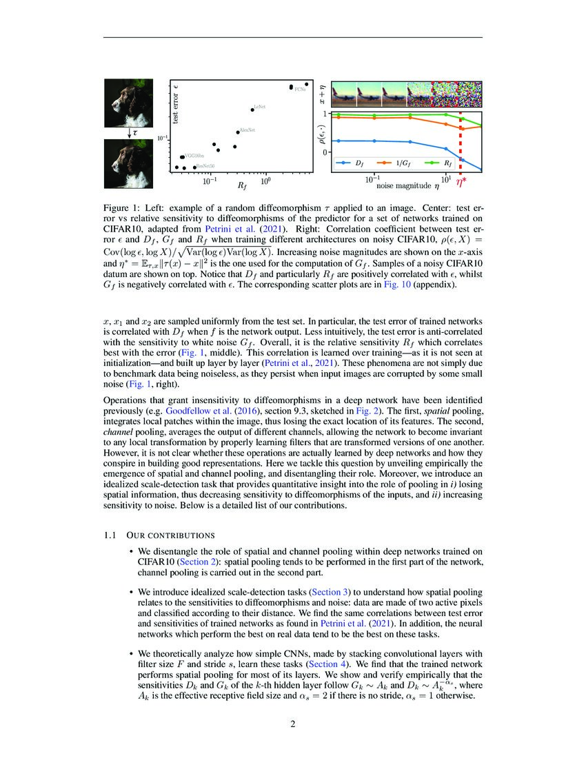 How Deep Convolutional Neural Networks Lose Spatial Information With Training Deepai