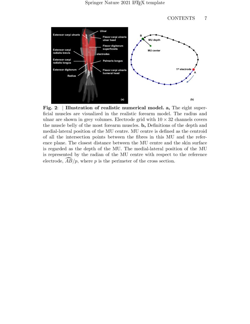 Human Biophysics As Network Weights Conditional Generative Models For Dynamic Simulation Deepai