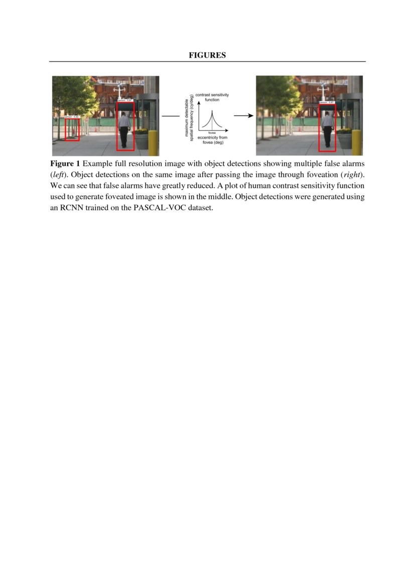 Human peripheral blur is optimal for object recognition | DeepAI