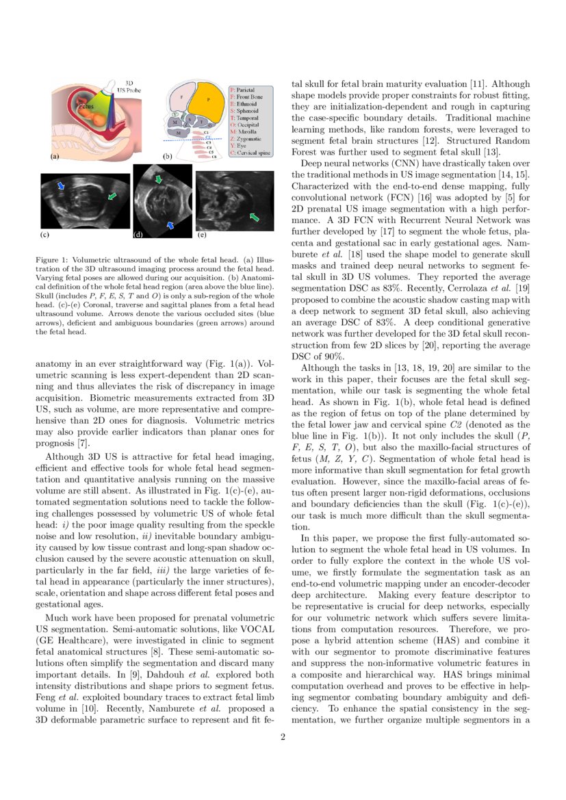 Hybrid Attention For Automatic Segmentation Of Whole Fetal Head In Prenatal Ultrasound Volumes