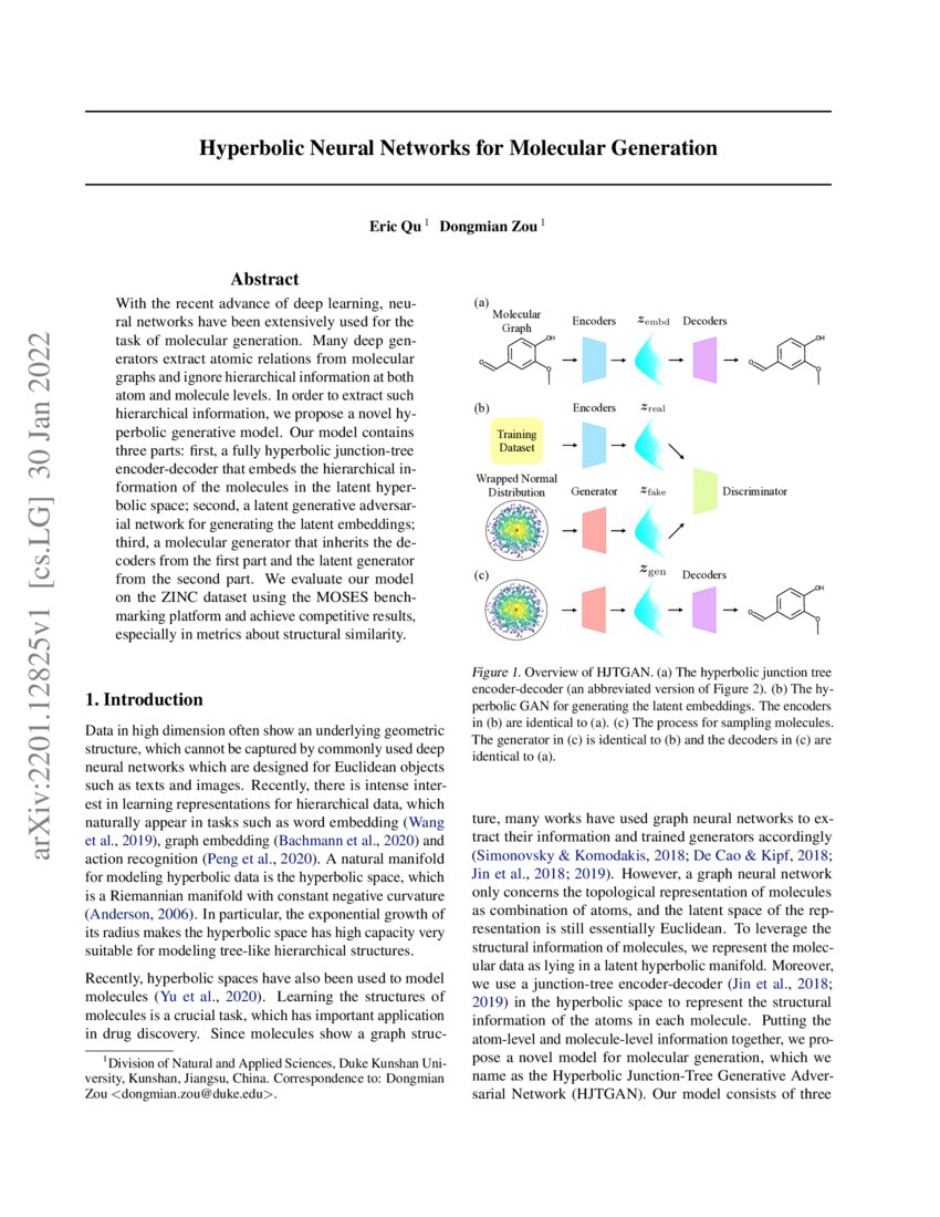Hyperbolic Neural Networks for Molecular Generation | DeepAI