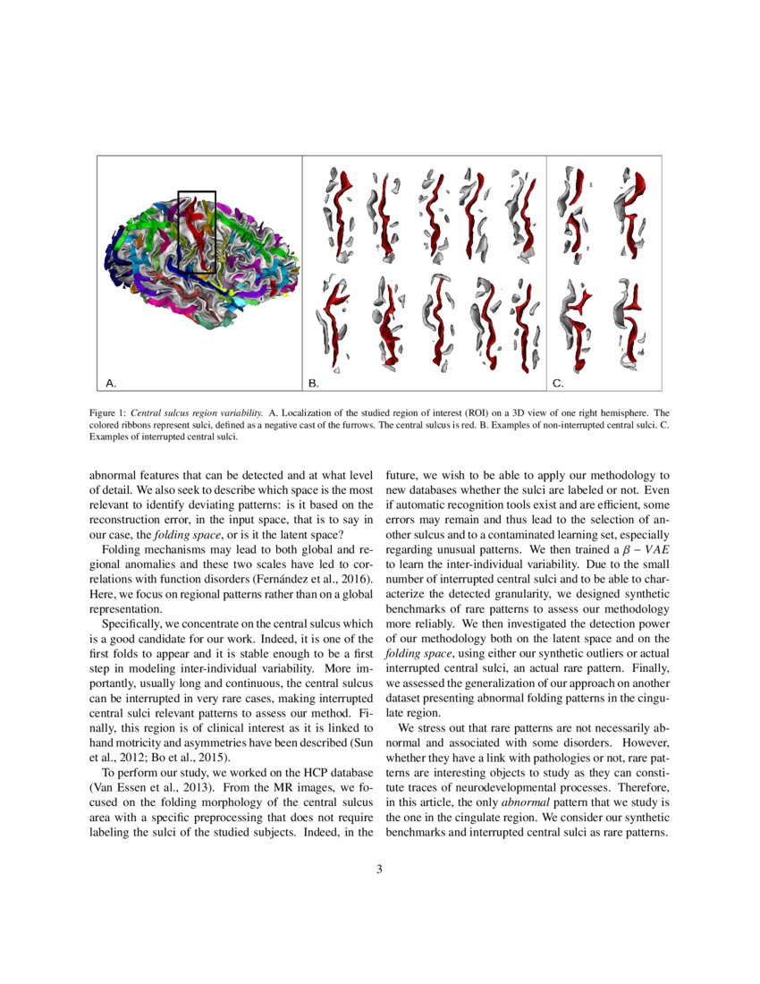 Identification of Rare Cortical Folding Patterns using Unsupervised Deep Learning | DeepAI