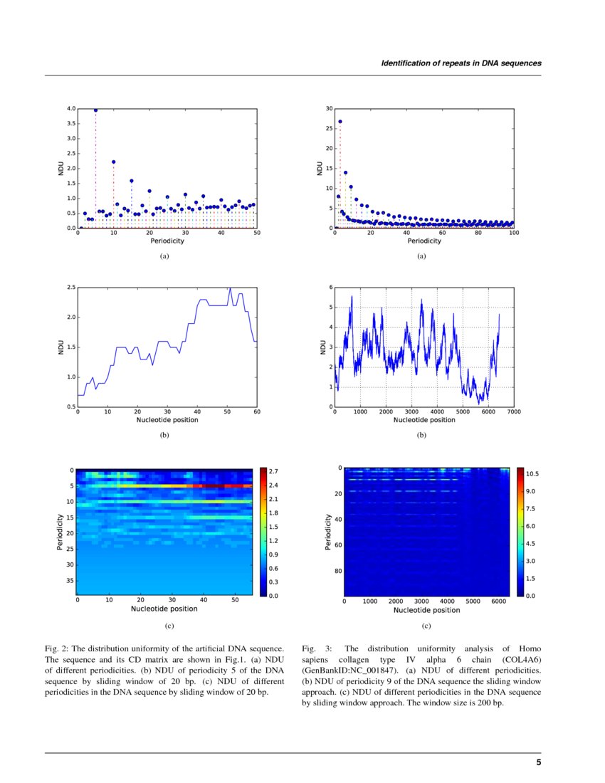 Identification of repeats in DNA sequences using nucleotide ...