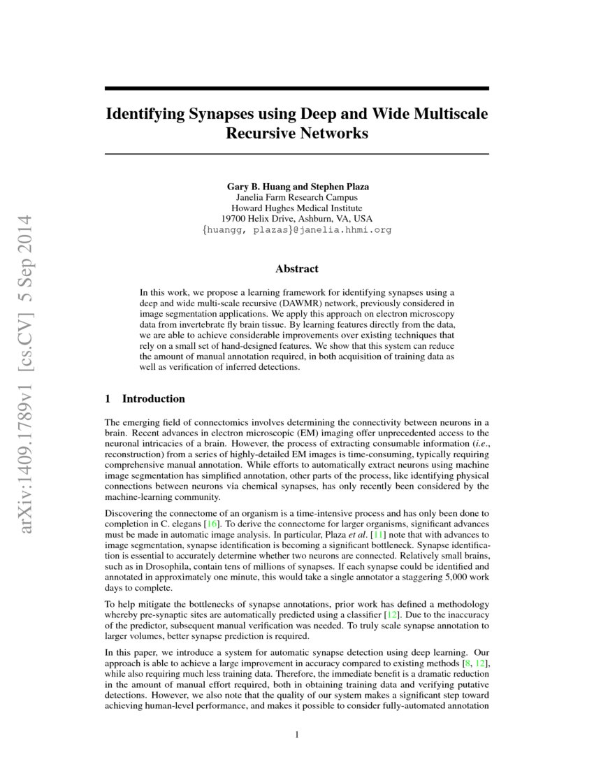Identifying Synapses Using Deep and Wide Multiscale Recursive Networks ...